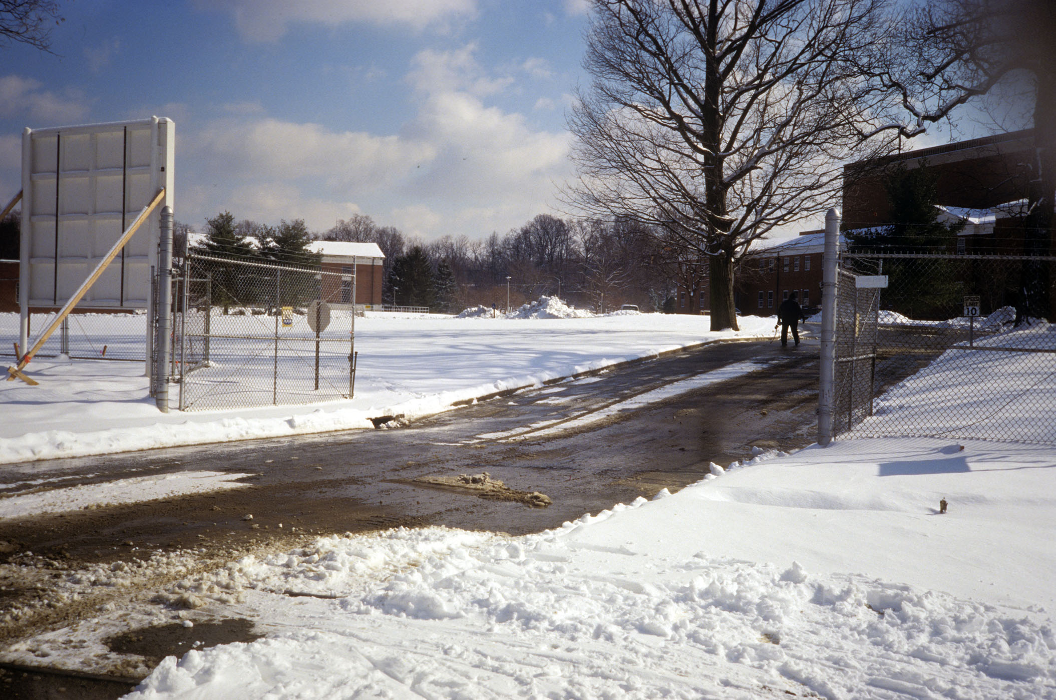 Dalecarlia Fletchers 013-edit